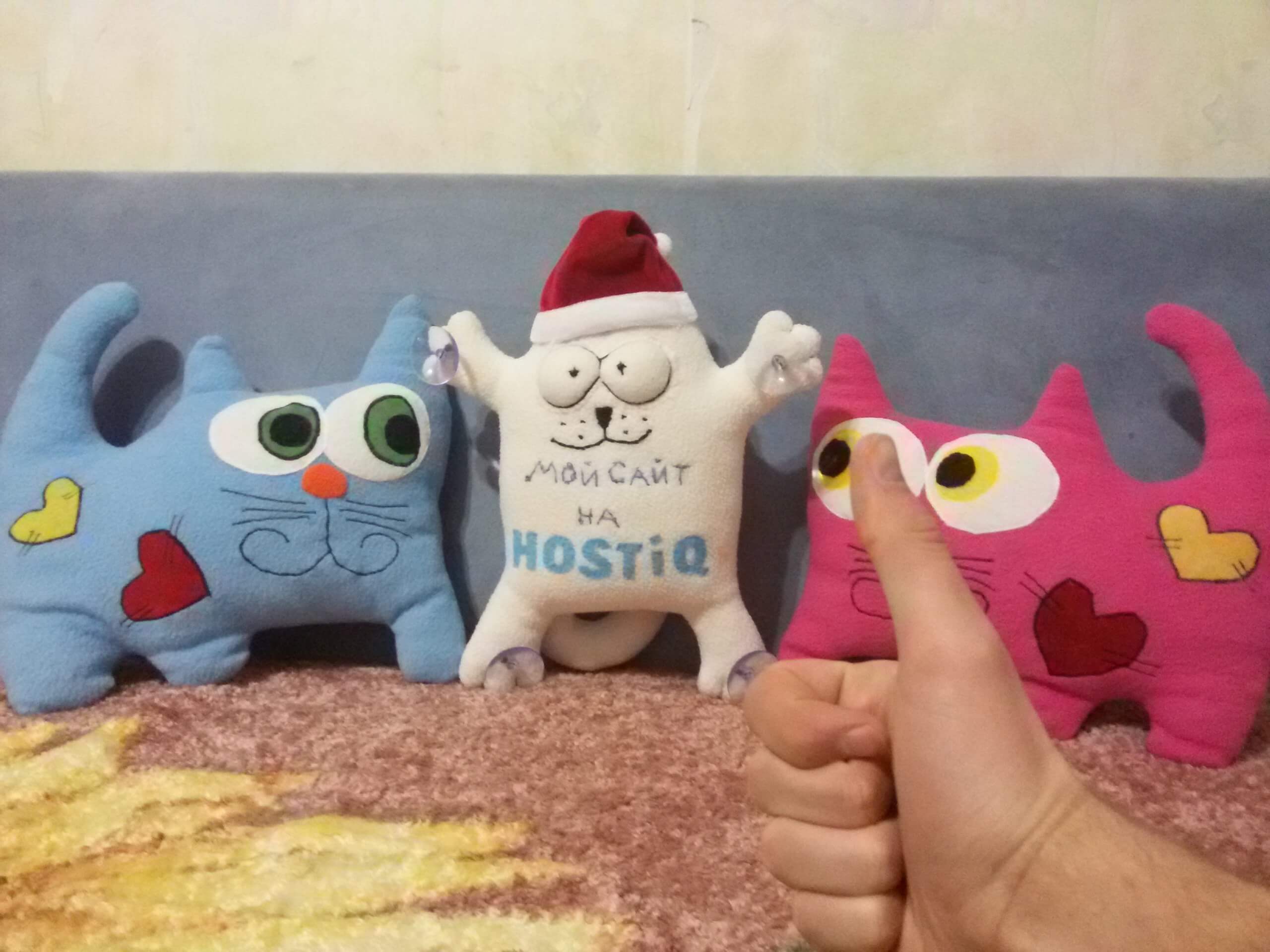 Конкурсы, коты и довольные клиенты | Блог HOSTiQ