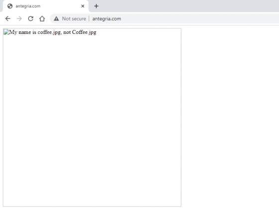 Як вставити картинку у HTML-код сторінки | Блог HOSTiQ.ua