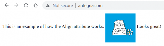 Як вставити картинку у HTML-код сторінки | Блог HOSTiQ.ua