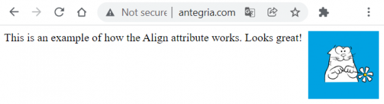 Як вставити картинку у HTML-код сторінки | Блог HOSTiQ.ua