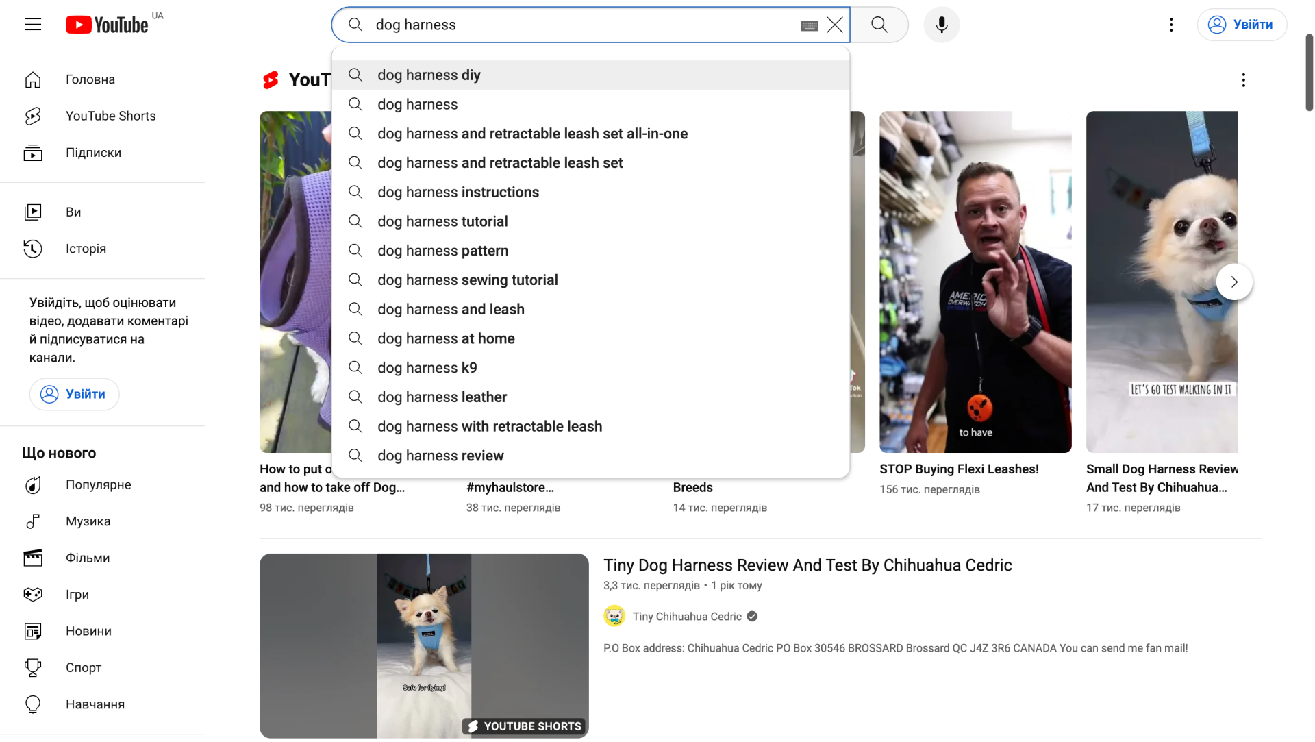 SEO-продвижение в YouTube: видеомаркетинг | Блог HOSTiQ