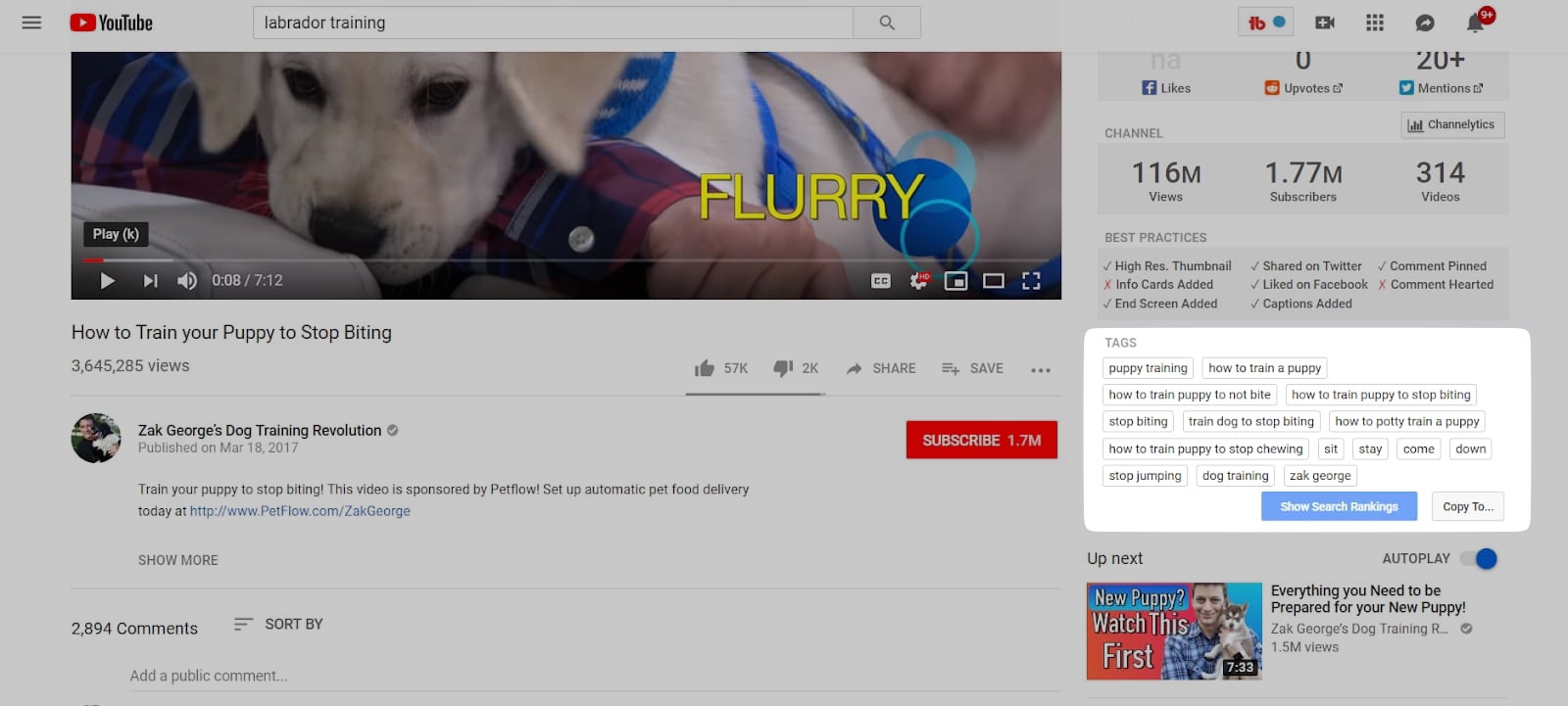 SEO-просування в YouTube: відеомаркетинг | Блог HOSTiQ