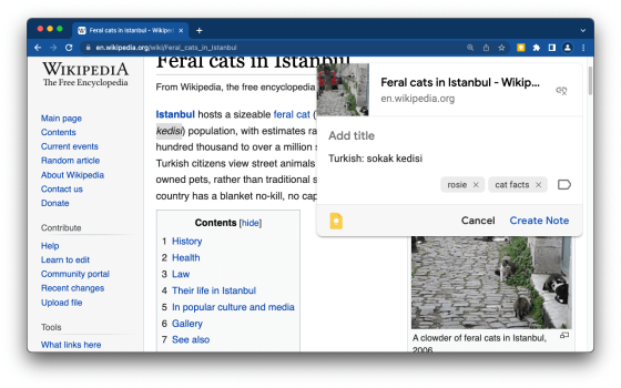 22 кращі розширення для Chrome у 2024 | Блог HOSTiQ.ua