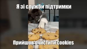 Файли cookie: що це таке і для чого потрібно | HOSTiQ.ua